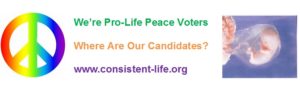 Elections 2020: Three Consistent-Life Approaches – Consistent Life Blog